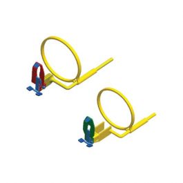 Kerr Endo-Bite Senso